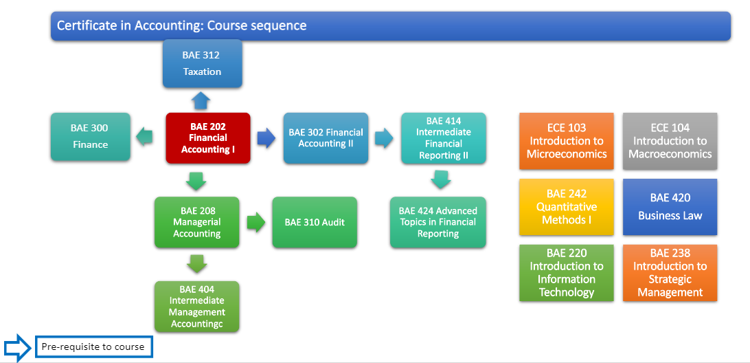 CPA Professionalization Program
